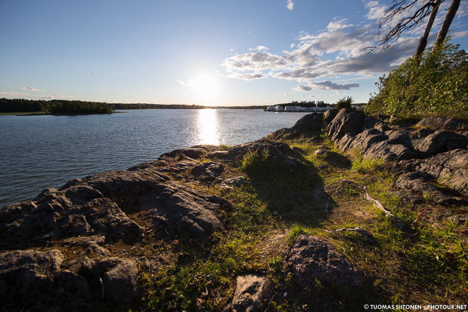 Midsummer landscapes
